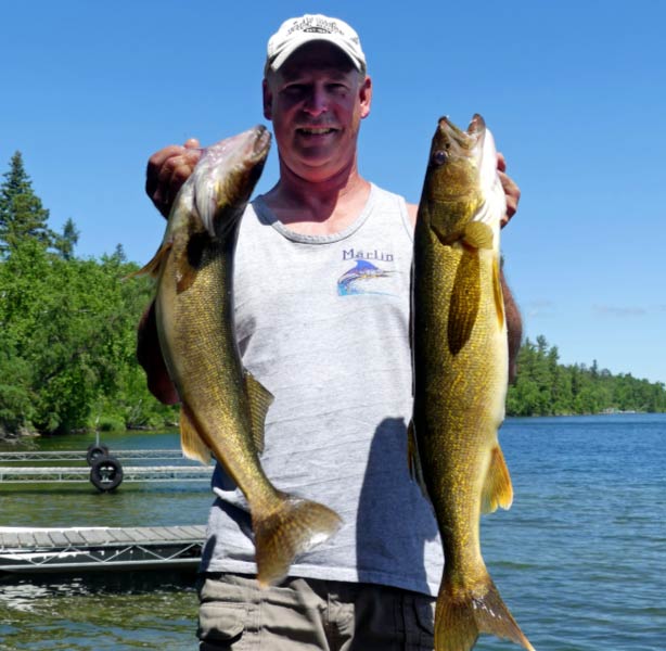 huge-walleyes-mn-fishing - Half Moon Trail Resort